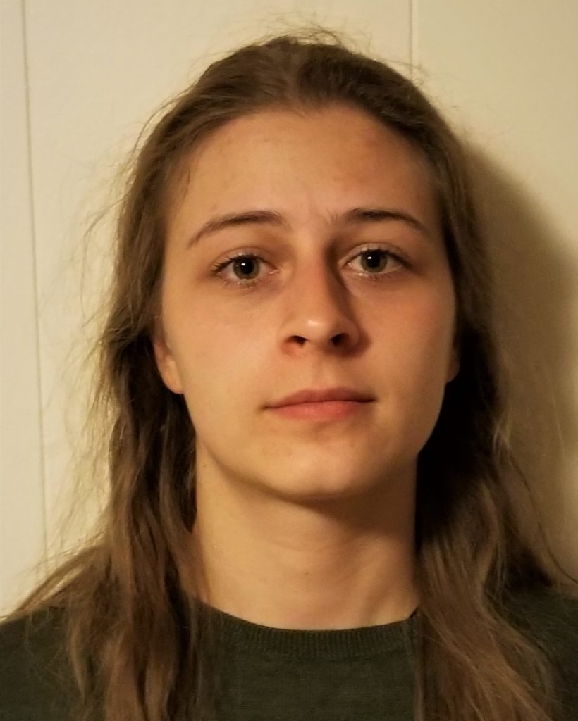 Outstanding Undergraduate Researchers Nominated for Churchill ...