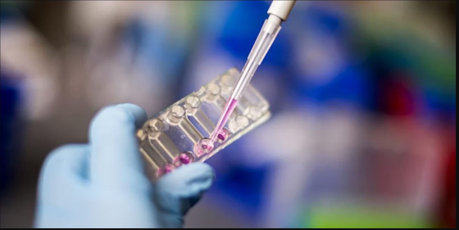 Home | Undergraduate Research & Fellowships at Northeastern University