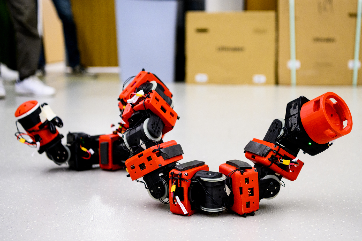 Home | Undergraduate Research & Fellowships at Northeastern University