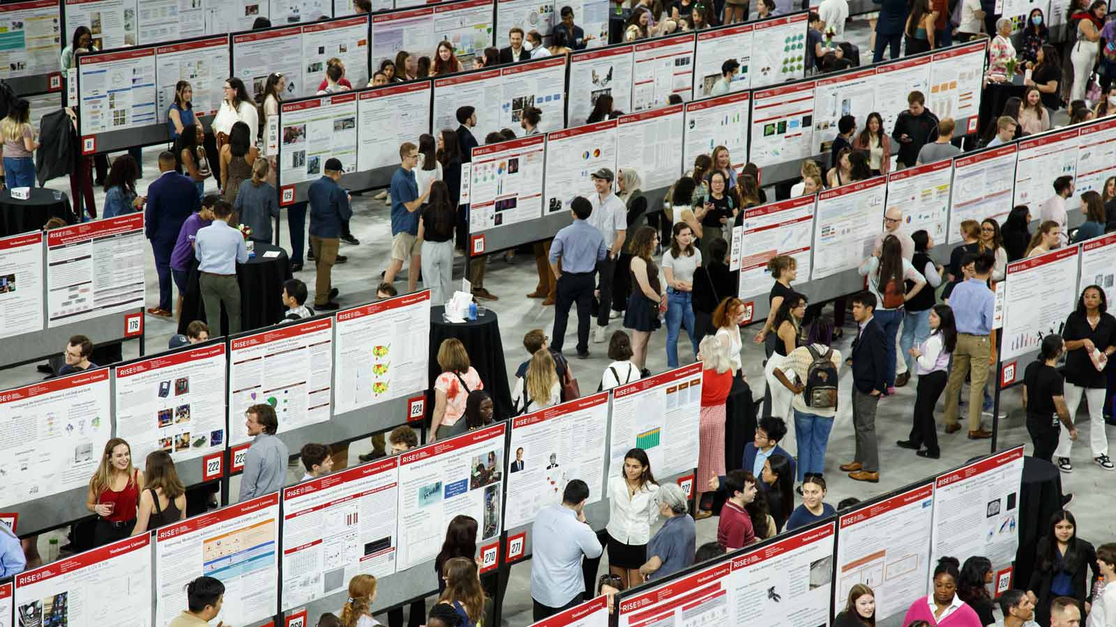 RISE 2023 Highlights Hundreds of Innovative Student Projects