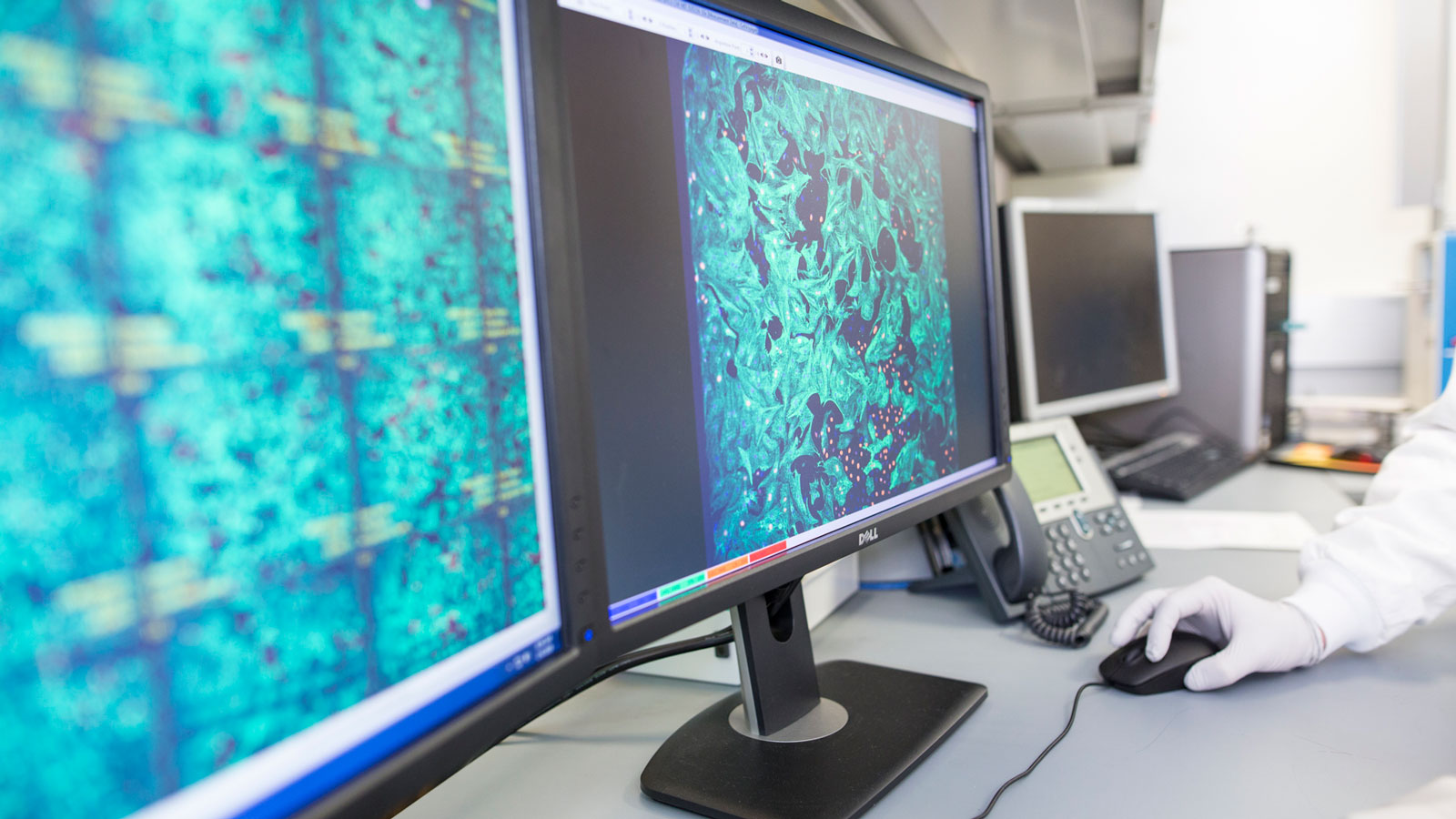 Jeffrey, B.S. Biology, ’10 | Tufts University School of Medicine (MD ...